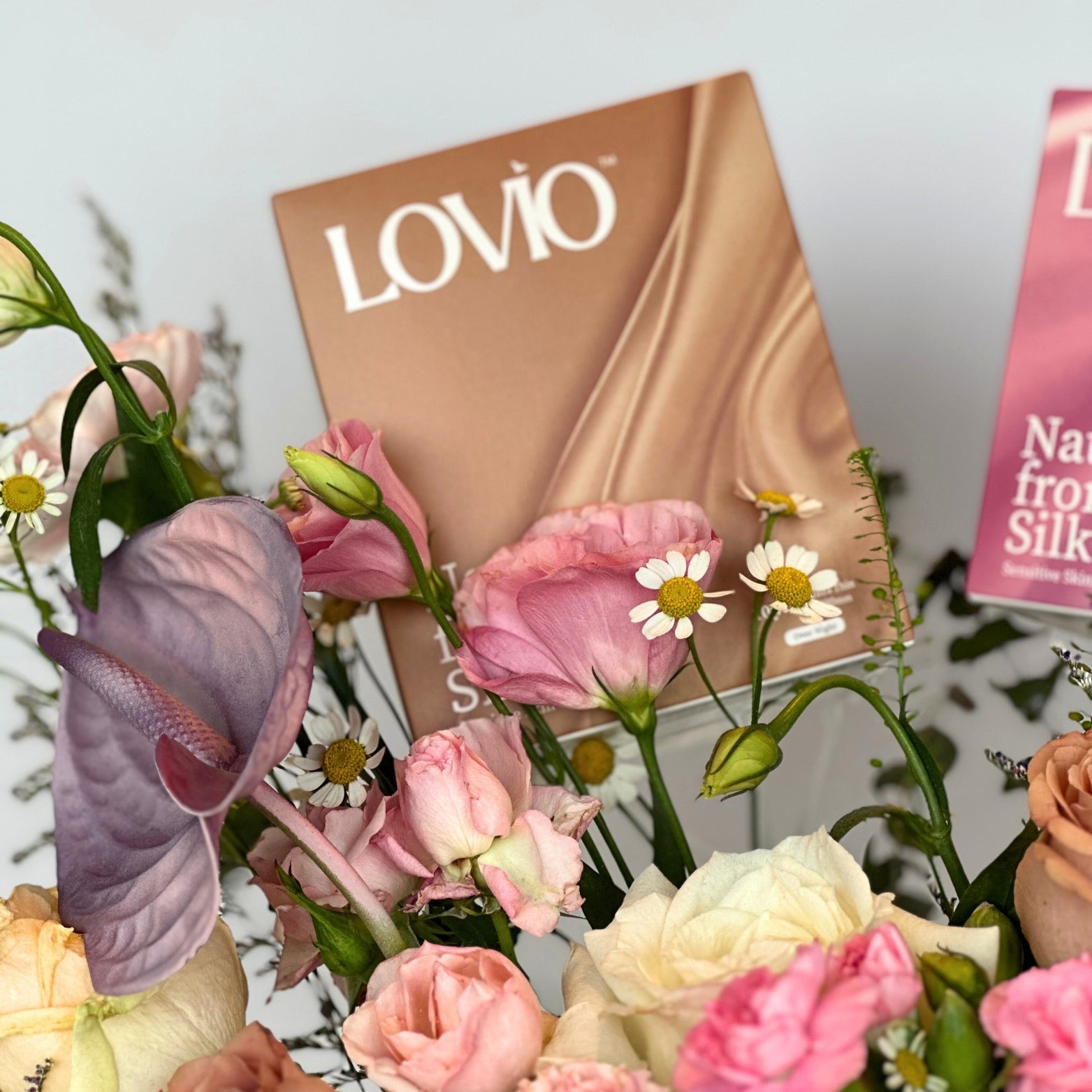 Event and collaboration – Lovio